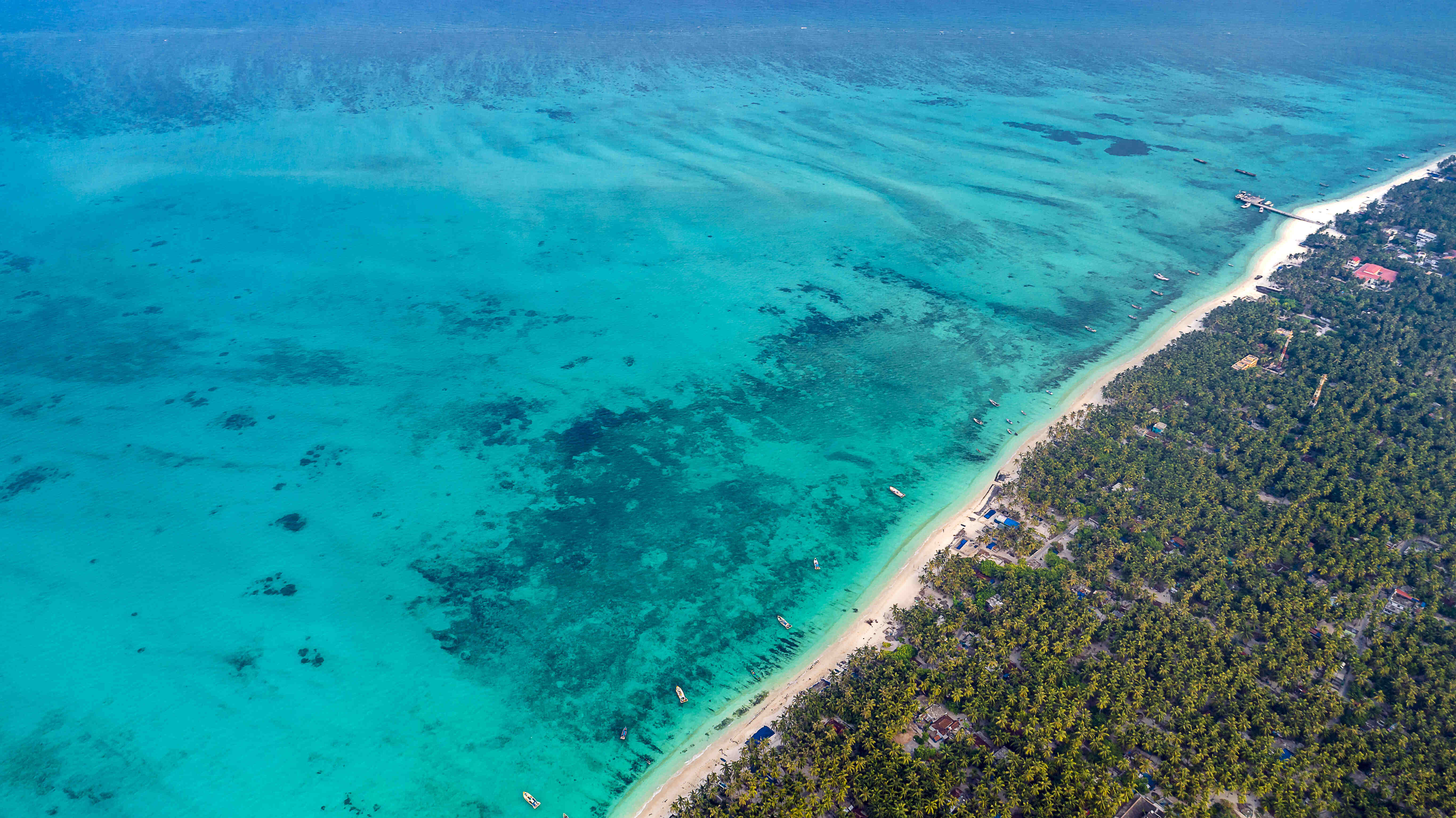 Book Regional Flights Online Across India with FLY91